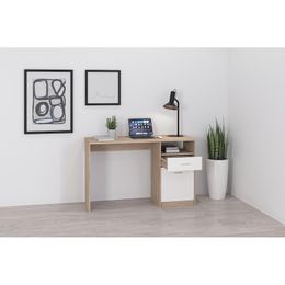 FMD Schreibtisch &raquo;Jackson&laquo; B&uuml;rotisch mit 1 Schubkasten und 1 T&uuml;r, 123 cm breit wei&szlig; B/H/T: 123cm x 76,5cm x 50cm