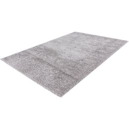 Obsession Hochflor-Teppich &raquo;My Emilia 250&laquo; rechteckig 26 mm H&ouml;he sehr weicher Flor, ideal im Wohnzimmer & Schlafzimmer silber Polyester B : 60cm 1 Stk., 26mm, L