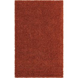 MyFlair Hochflor-Teppich &raquo;Shaggy Shag, LAGERR&Auml;UMUNG&laquo; rechteckig 38 mm H&ouml;he gewebt, Uni Farben, ideal im Wohnzimmer & Schlafzimmer orange Polypropylen (PP) B :