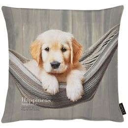 Apelt Dekokissen &raquo;Buddy&laquo; Lieblings-Hundebaby Baumwolle, Polyester B/L: 46cm x 46cm, 1 Stk.