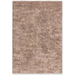 Astra Teppich &raquo;Salerno 250&laquo; rechteckig 30 mm H&ouml;he dichter Indoor Teppich, Designed in Germany, Oeko-Tex Polyester B : 80cm 1 Stk., 30mm, L: 150cm