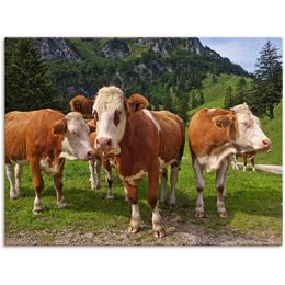 Artland Leinwandbild &raquo;Bayerische K&uuml;he&laquo; Haustiere 1 Stk. tlg. auf Holzrahmen gespannt gr&uuml;n Leinwand B/H/T: 80cm x 60cm, Leinwandbild Haustiere Querformat, 1 