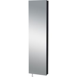 Germania Schuhschrank &raquo;1189&laquo; 1 Stk. tlg. Drehschrank mit Spiegel, f&uuml;r schmale Flure, hinten offen, Tiefe: 18 cm grau Holzwerkstoff Anthrazit, B/H/T: 