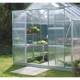 Vitavia Schiebet&uuml;r F&uuml;r alle Merkur-Gew&auml;chsh&auml;user mit Hohlkammer-Verglasung transparent Aluminium 60cm