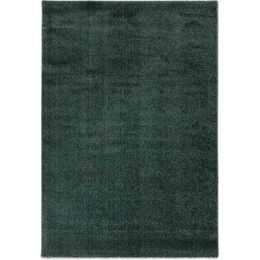 Sch&ouml;ner Wohnen Kollektion SCH&Ouml;NER WOHNEN-Kollektion Teppich &raquo;Pure 250&laquo; rechteckig 21 mm H&ouml;he Indoor, dichter robuster Teppich mit leichtem Glanz, Oeko-Tex gr&uuml;n Polypropylen B :