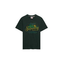 Superdry & Co T-Shirt 'OUTDOORS MOUNTAIN' Herren Gr&ouml;&szlig;e M senf / dunkelgr&uuml;n