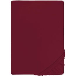 Biberna Spannbettlaken &raquo;THEA Baumwoll-Jersey mit Elasthan, 160 g/m&sup2;&laquo; Bettlaken f&uuml;r Matratzen bis 25 cm H&ouml;he, pflegeleicht, b&uuml;gelfrei rot Jersey-Elasthan, 