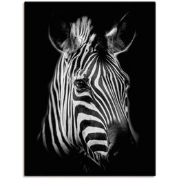 Artland Wandbild &raquo;Zebra&laquo; Zebra Bilder 1 Stk. tlg. als Alubild, Leinwandbild in verschied. Gr&ouml;&szlig;en schwarz B/H/T: 60cm x 80cm, Leinwandbild Zebra Bilder 