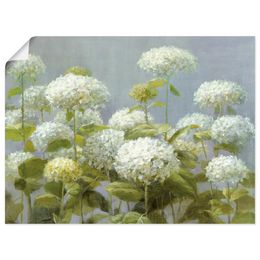 Artland Wandbild &raquo;Wei&szlig;er Hortensien Garten&laquo; Blumen 1 Stk. tlg. als Leinwandbild, Poster in verschied. Gr&ouml;&szlig;en wei&szlig; B/H/T: 80cm x 60cm, Poster Blumen Querformat