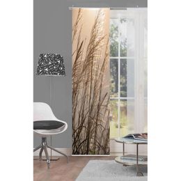 Home Wohnideen Schiebegardine &raquo;CARUSO&laquo; Klettband 1 Stk. tlg. HxB: 245x60, inkl. Befestigungszubeh&ouml;r beige Polyester 245cm, Klettband, 60cm