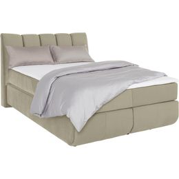Home Affaire Boxspringbett &raquo;Oc&eacute;ane&laquo; Bodenfrei- wirkt freischwebend, verschiedene H&auml;rtegrade (auch H4) rosa Polyester Velour VELVET Polyester Topper 