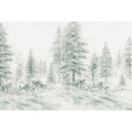 ARCHITECTS PAPER Fototapete &raquo;Atelier 47 Aquarel Forest 2&laquo; Wald glatt Vlies, Wand, Schr&auml;ge, Decke grau Vlies B/L: 4m x 2,7m