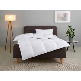OTTO home G&auml;nsedaunenbettdecke + Kopfkissen &raquo;Litrone Bettdecke 135x200 cm, 155 x220 cm&laquo; Set mit Kissen 40x80 cm, 80x80 cm, Fr&uuml;hling, Sommer, Herbst, 
