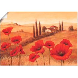 Artland Wandbild &raquo;Mohnblumen in der Toskana&laquo; Europa 1 Stk. tlg. als Leinwandbild, Poster in verschied. Gr&ouml;&szlig;en braun B/H/T: 70cm x 50cm, Poster Europa, 1 Stk.