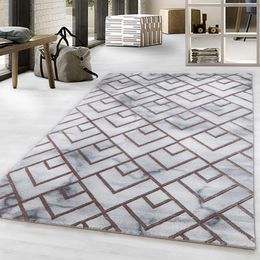 Ayyildiz Teppiche Teppich &raquo;NAXOS 3813&laquo; rechteckig 12 mm H&ouml;he L&auml;ufer, Wohnzimmer braun Polypropylen (PP) B : 140cm 1 Stk., 12mm, L: 200cm