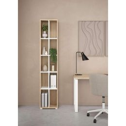 Home Affaire Regal &raquo;Sign Ablageregal, Aktenregal, B&uuml;cherregal, Standregal, Wandregal,&laquo; schmal mit Trennwand und Einlegeb&ouml;den, H&ouml;he 200 cm wei&szlig; 