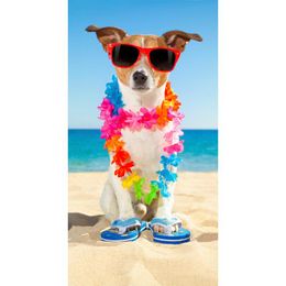 Good Morning Strandtuch &raquo;Buddy&laquo; Mikrofaser, 75x150, Schnelltrocknend, Strand, Kind, Kinder, Hund bunt Microfaser, Obermaterial: 100% Polyester B/L: 
