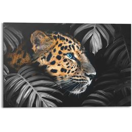 Reinders Wandbild &raquo;Wandbild Leopard Jungle - Pflanze - Tiermotiv&laquo; Leopard 1 Stk. tlg. bunt MDF B/H/T: 90cm x 60cm, Leopard, 1 Stk.