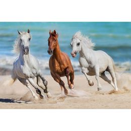 papermoon Fototapete &raquo;Horse Herd Run Gallop&laquo; glatt bunt Vlies B/L: 3,5m x 2,6m, Bahnen: 7 Stk.