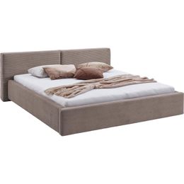 Meise M&ouml;bel meise.m&ouml;bel Polsterbett &raquo;Cube wahlweise mit Matratze und Bettkasten&laquo; extra flaches Kopfteil, erh&auml;ltlich in den Breiten 140cm, 160cm & 180cm grau 