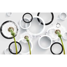 papermoon Fototapete &raquo;Muster mit Pusteblumen, Ringe&laquo; bunt Vlies B/L: 3,5m x 2,6m, Bahnen: 7 Stk.
