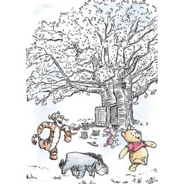 Komar Bild &raquo;Winnie the Pooh Playground&laquo; Disney 1 Stk. tlg. Wandbild zur Dekoration im Kinderzimmer - ohne Rahmen bunt Holz, Papier B/H/T: 50cm x 70cm, 