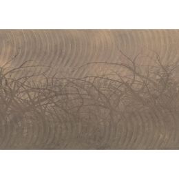 ARCHITECTS PAPER Fototapete &raquo;Atelier 47 Thorn hedge 3&laquo; Farbverlauf glatt Vlies, Wand, Schr&auml;ge, Decke braun Vlies B/L: 4m x 2,7m