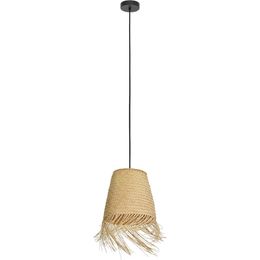 Eglo H&auml;ngeleuchte &raquo;AYCLIFFE&laquo; E27 1 Stk. H&auml;ngeleuchte in schwarz aus Stahl - exkl. E27 - 40W schwarz &Oslash; 30cm H: 110cm, 1 Stk.