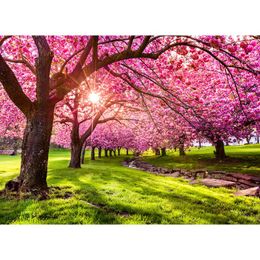 papermoon Fototapete &raquo;Cherry Tree Blossom&laquo; glatt bunt Vlies B/L: 5m x 2,8m, Bahnen: 10 Stk.