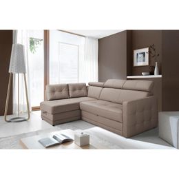 exxpo - sofa fashion Ecksofa &raquo;Arles, Federkern, zeitlos, Breite 225cm, L-Form&laquo; wahlweise mit Bettfunktion und Bettkasten, inkl. Kopfteilverstellung 