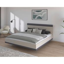 Rauch Futonbett &raquo;Bett Doppelbett Holzbett SAJO&laquo; mit Farb-Absetzungen in komfortabler Sitzh&ouml;he MADE IN GERMANY beige Liegefl&auml;che L&auml;nge B: 200cm x 180cm