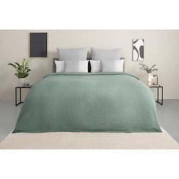 OTTO home Tagesdecke &raquo;Mira&laquo; leichte Tagesdecke aus 100% Baumwolle, uni &Uuml;berwurf, ohne F&uuml;llung gr&uuml;n Baumwolle B/L: 250cm x 250cm