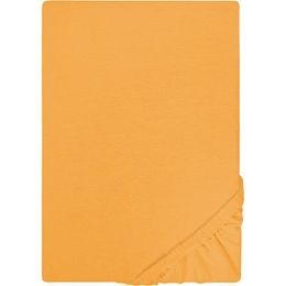 Biberna Spannbettlaken &raquo;Leila&laquo; Bettlaken aus 100% Baumwolle, f&uuml;r Matratzenh&ouml;hen bis 22 cm gelb Jersey, Obermaterial: 100% Baumwolle B/L: 200cm, 1 Stk., Jersey