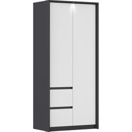 Rauch Dreht&uuml;renschrank &raquo;Mainz mit Passepartout&laquo; optional mit Beleuchtung, Au&szlig;ent&uuml;ren mit Push-to-Open Funktion grau Holzwerkstoff B/H/T: 96cm x 212cm 