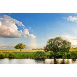 papermoon Fototapete &raquo;River Tree Landscape&laquo; glatt bunt Vlies B/L: 2,5m x 1,86m, Bahnen: 5 Stk.
