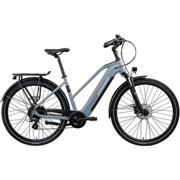 Z&uuml;ndapp Z&uuml;ndapp Damen &raquo;Z810&laquo; 24 Gang Shimano Altus RD-M310 Schaltwerk Kettenschaltung Heckmotor 250 W Pedelec, Elektrofahrrad f&uuml;r Damen grau 50cm, 28 Zoll (