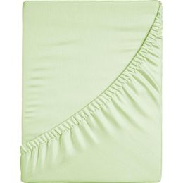 CASATEX Spannbettlaken &raquo;Jersey-Elasthan&laquo; mit Elasthan gr&uuml;n Jersey, Obermaterial: 96% Baumwolle, 4% Elasthan 1 Stk., Jersey, 140-160x200-220 25cm