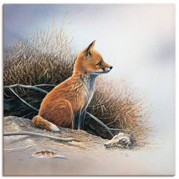 Artland Leinwandbild &raquo;Kleiner Fuchs&laquo; Wildtiere 1 Stk. tlg. auf Holzrahmen gespannt braun Leinwand B/H/T: 30cm x 30cm, Leinwandbild Wildtiere quadratisch, 1 