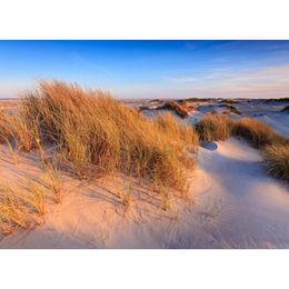 papermoon Fototapete &raquo;Dunes Grass&laquo; glatt bunt Vlies B/L: 3m x 2,23m, Bahnen: 6 Stk.