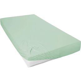 Primera Spannbettlaken &raquo;Mako-Feinjersey Spannbetttuch&laquo; Geeignet f&uuml;r Standardmatratzen bis 22 cm, 100% Baumwolle braun Mako-Jersey, Obermaterial: 100% 