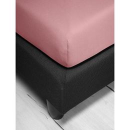 Irisette Spannbettlaken &raquo;Jupiter 8&laquo; aus Baumwolle, f&uuml;r Matratzen bis 25 cm H&ouml;he, Bettlaken, Spannbetttuch rosa Mako-Jersey, Obermaterial: 100% Baumwolle B/L: 