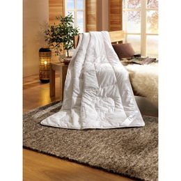 Dreams Naturhaarbettdecke &raquo;Woll-Deluxe&laquo; warm 1 Stk. tlg. wei&szlig; Bezug: 100% Baumwolle. F&uuml;llung: 100% Wolle B/L: 155cm x 200cm, warm