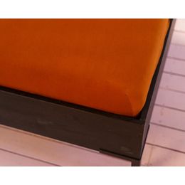Kayori Spannbettlaken &raquo;Saiko&laquo; Bio-Baumwolle braun Jersey-Elasthan, Obermaterial: 97% Baumwolle, 3% Elasthan (LYCRA ) B/L: 100cm x 220cm, 1 Stk., 