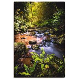Artland Leinwandbild &raquo;Wildbach im Wald&laquo; Gew&auml;sser 1 Stk. tlg. auf Holzrahmen gespannt gr&uuml;n B/H/T: 60cm x 90cm, Leinwandbild Gew&auml;sser Hochformat, 1 Stk.