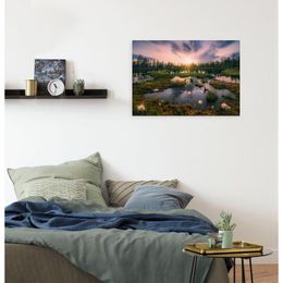 Komar Leinwandbild &raquo;Gloomy Swamps - Gr&ouml;&szlig;e 60 x 40 cm&laquo; Baum Berge Blumen Bl&auml;tter Foto Jahreszeiten Landschaft Meer Natur Palmen Strand Packung, 1 Stk. tlg. 