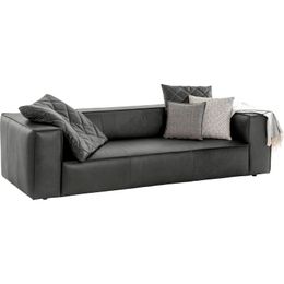 W.Schillig Sofakissen &raquo;around-the-block&laquo; Dekokissen mit Steppung grau Longlife Xtra-Leder Z69: Das feinnarbige, gedeckte Softleder Z69 besticht durch 