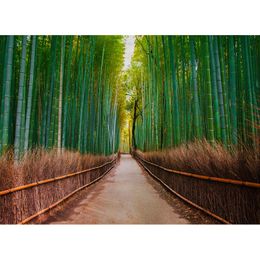 Livingwalls living walls Fototapete &raquo;Designwalls Bambus Walk&laquo; glatt Vlies, Wand, Schr&auml;ge, Decke bunt Vlies B/L: 3,5m x 2,55m