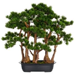Creativ green Kunstbonsai &raquo;Bonsai Kiefer&laquo; mit detailgetreuer Gestaltung gr&uuml;n Kunststoff B/H/L: 60cm x 60cm, 1 Stk.