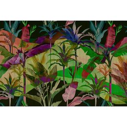 Livingwalls living walls Fototapete &raquo;Walls by Patel Palmyra&laquo; glatt Vlies, Wand gr&uuml;n Vlies B/L: 4m x 2,7m