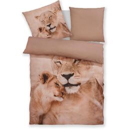 OTTO home Bettw&auml;sche &raquo;Lyki&laquo; 2 Stk. ab Gr&ouml;&szlig;e 135x200 cm, 100% Polyester, Katze, Pferd, L&ouml;we, Pinguin braun Microfaser, Obermaterial: 100% Polyester B/L
